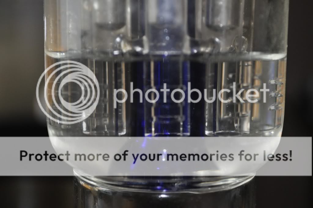 UPDATED: New Hoss Triple Inline to 8-Arm Tree Perc *HD Pics**Milkvid ...